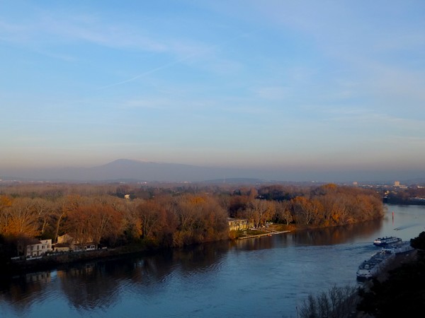Avignon en hiver
