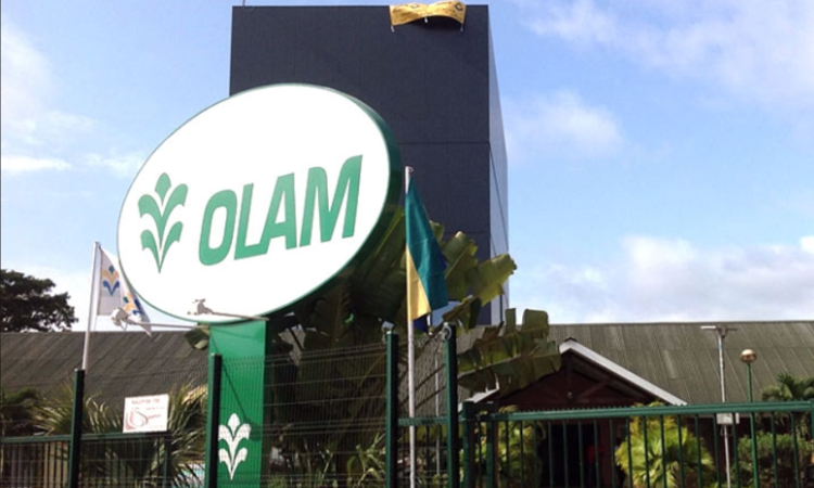 AGRO-INDUSTRIE | Olam au Gabon monte en puissance