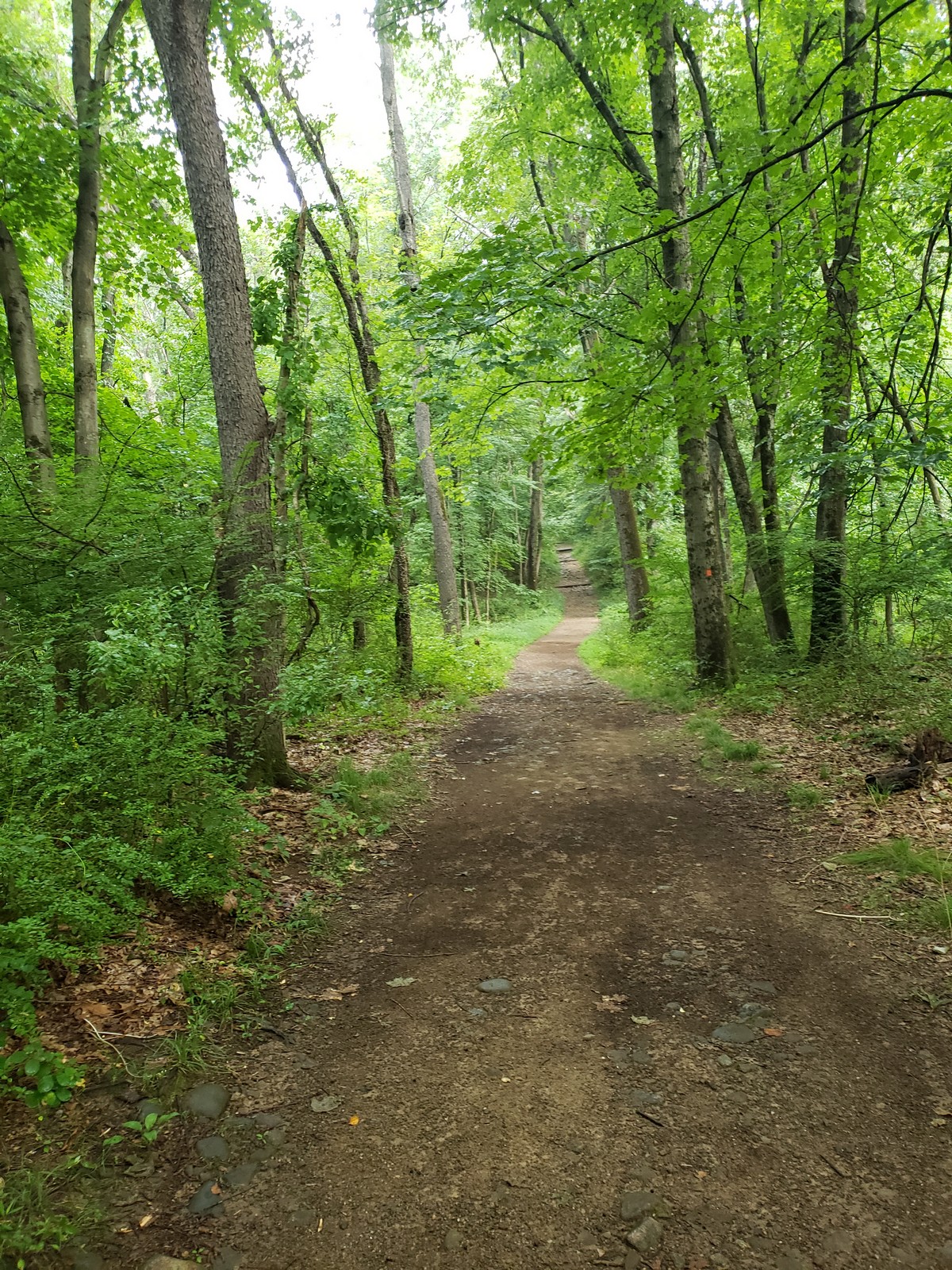 Harriman Hiker: Harriman State Park and Beyond: Kakiat Lower Loop Early ...