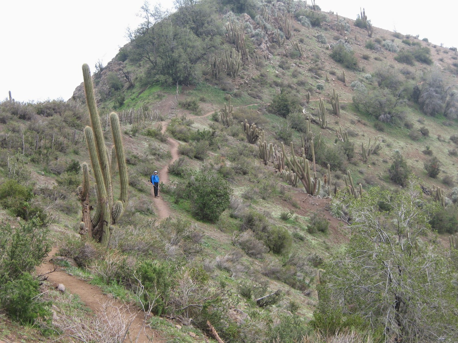 PASEANDO POR LOS CERROS