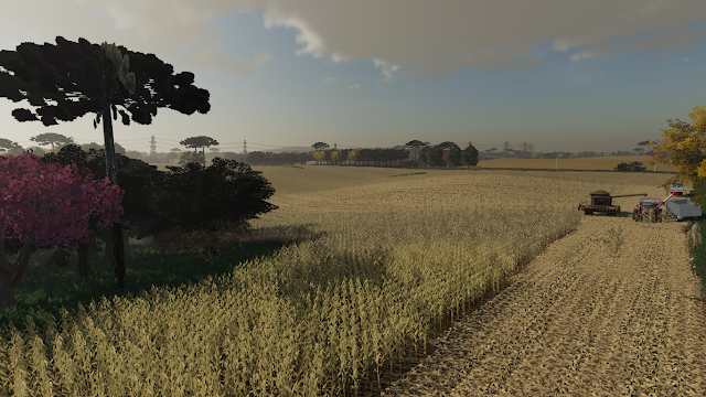 AGRO SUDESTE MAP FS19