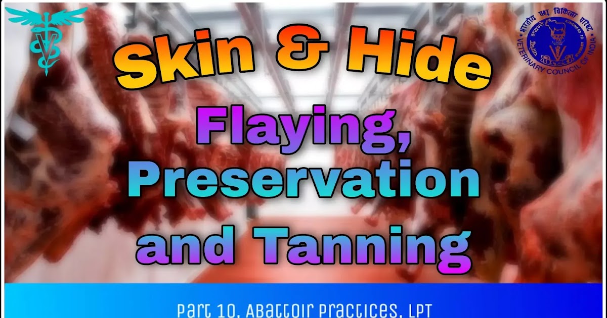 Skin and Hide - Flaying, Preservation and Tanning.