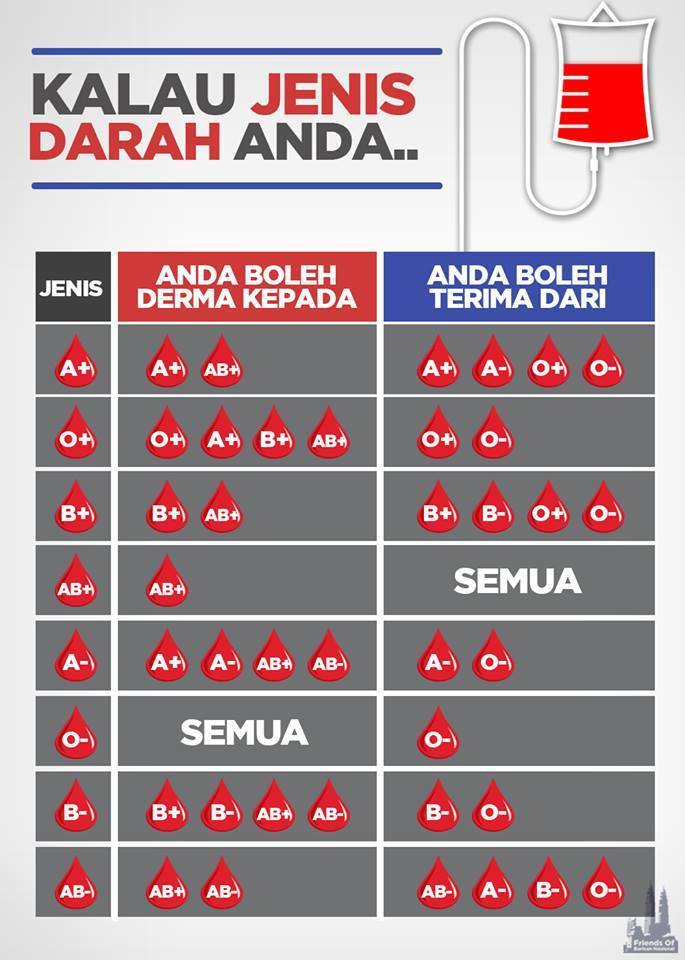 CAHAYA HIDUPKU: WW :: KENALI DARAH ANDA ... Boleh darah dari ......