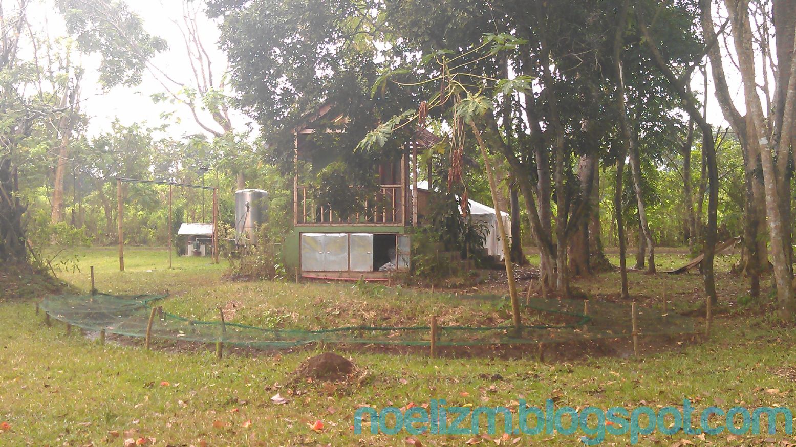 Forest Club Camps in Calauan, Laguna | Noelizm