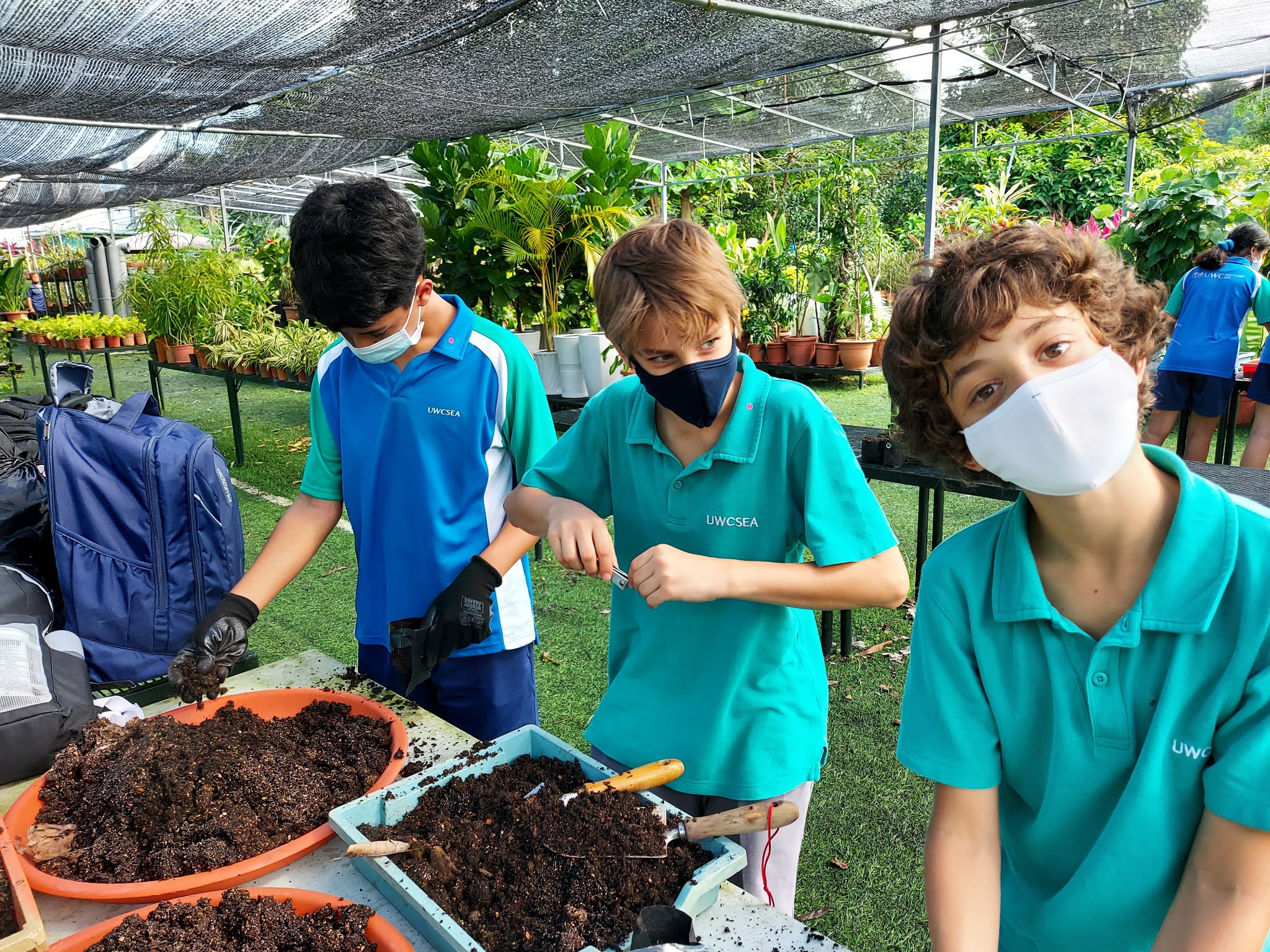 UWCSEA Dover Environmental Stewardship In Action Three New Groups uwcsea-dover-environmental-stewardship-in-action-three-new-groups
