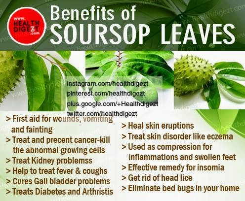 BISAYAPHILIPPINES: Soursop leaves or Labana fruit