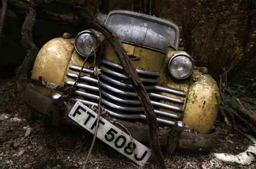 North In Wisconsin: Decay Examples