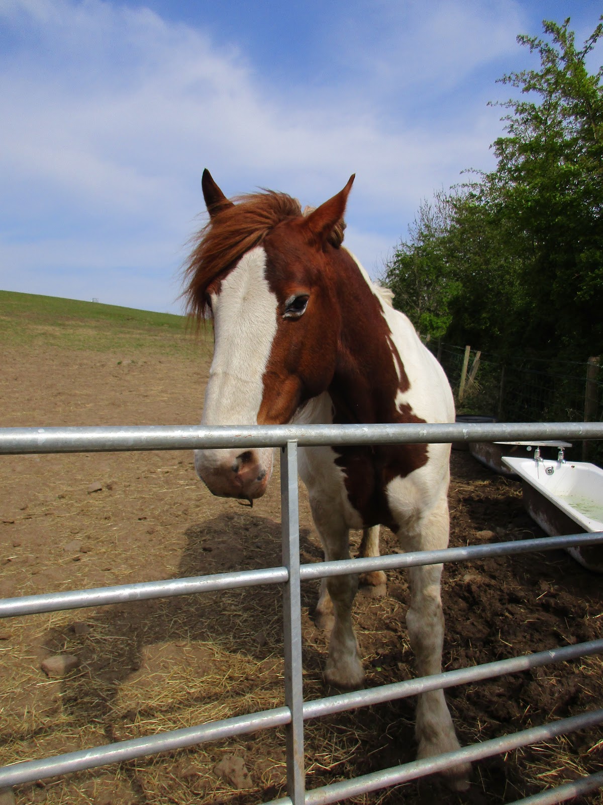 Glasgow Family Notebook: Lamont Farm Project