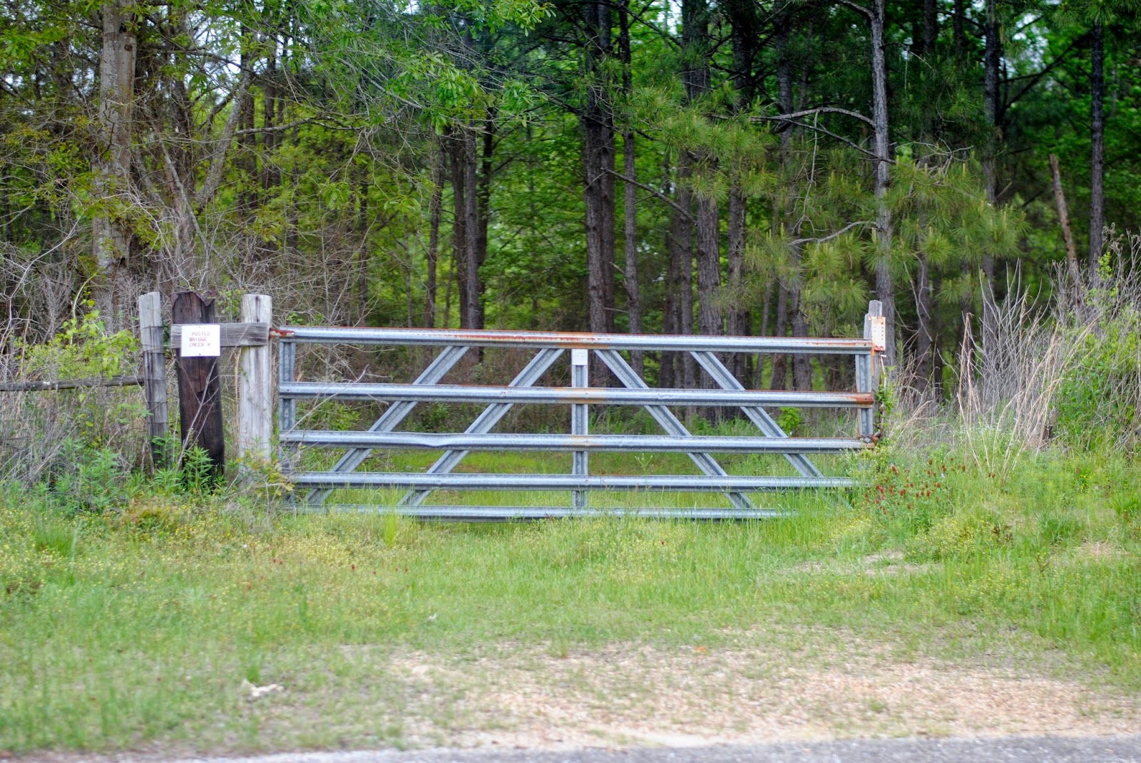 Double M Photography: Pasture Gate | Day 111 of 365