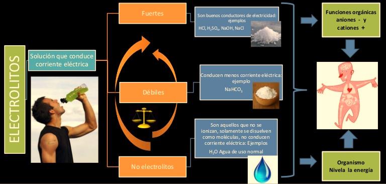Anatomía y Fisiología Humana en la Enseñanza Médico-Quírurgica: Tarea 1 ...