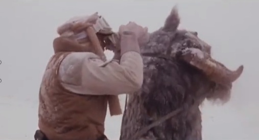 STAR WARS AFICIONADO WEBSITE: AN 'EMPIRE' AT 40: ATTACK OF THE WAMPA!