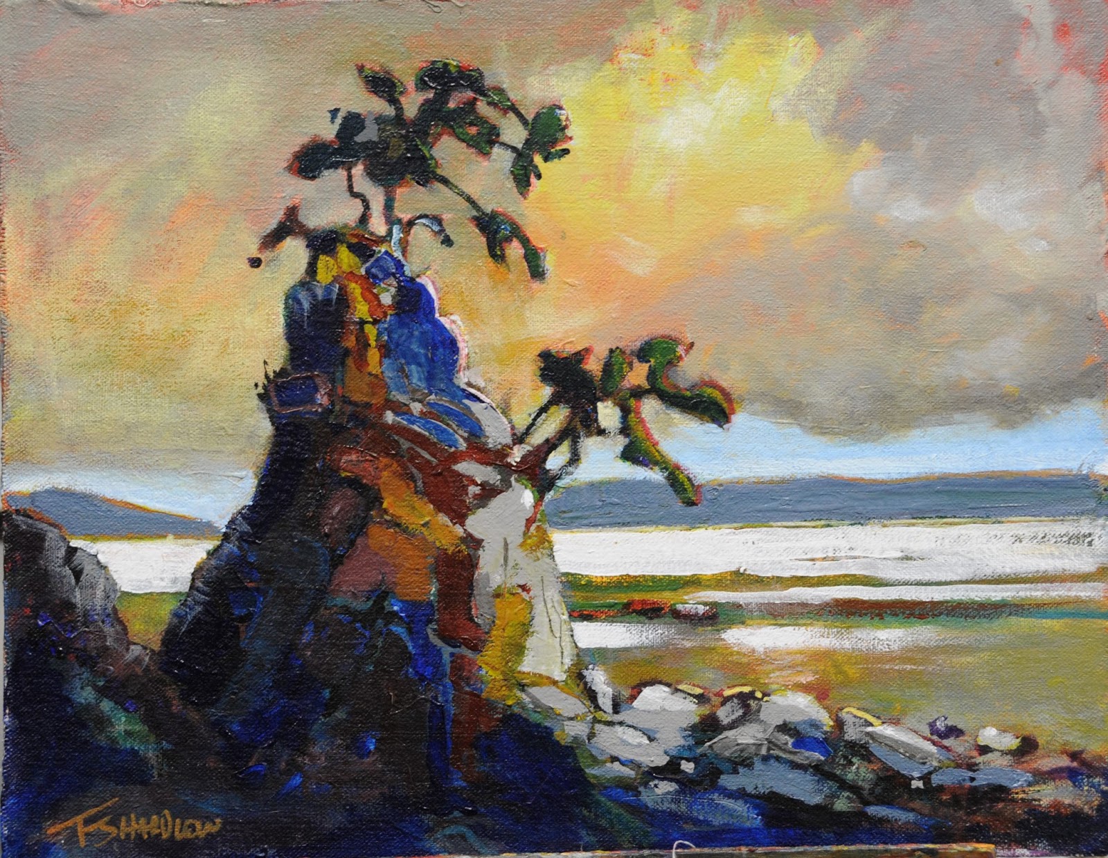 Tom Shardlow Landscapes