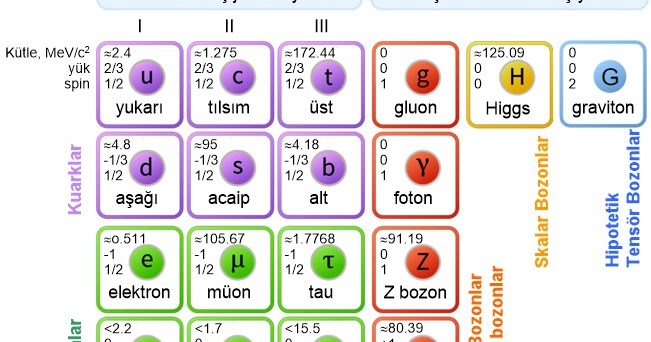 Prof. Dr. Bilsen Beşergil: Temel Partiküller (elementary particles)