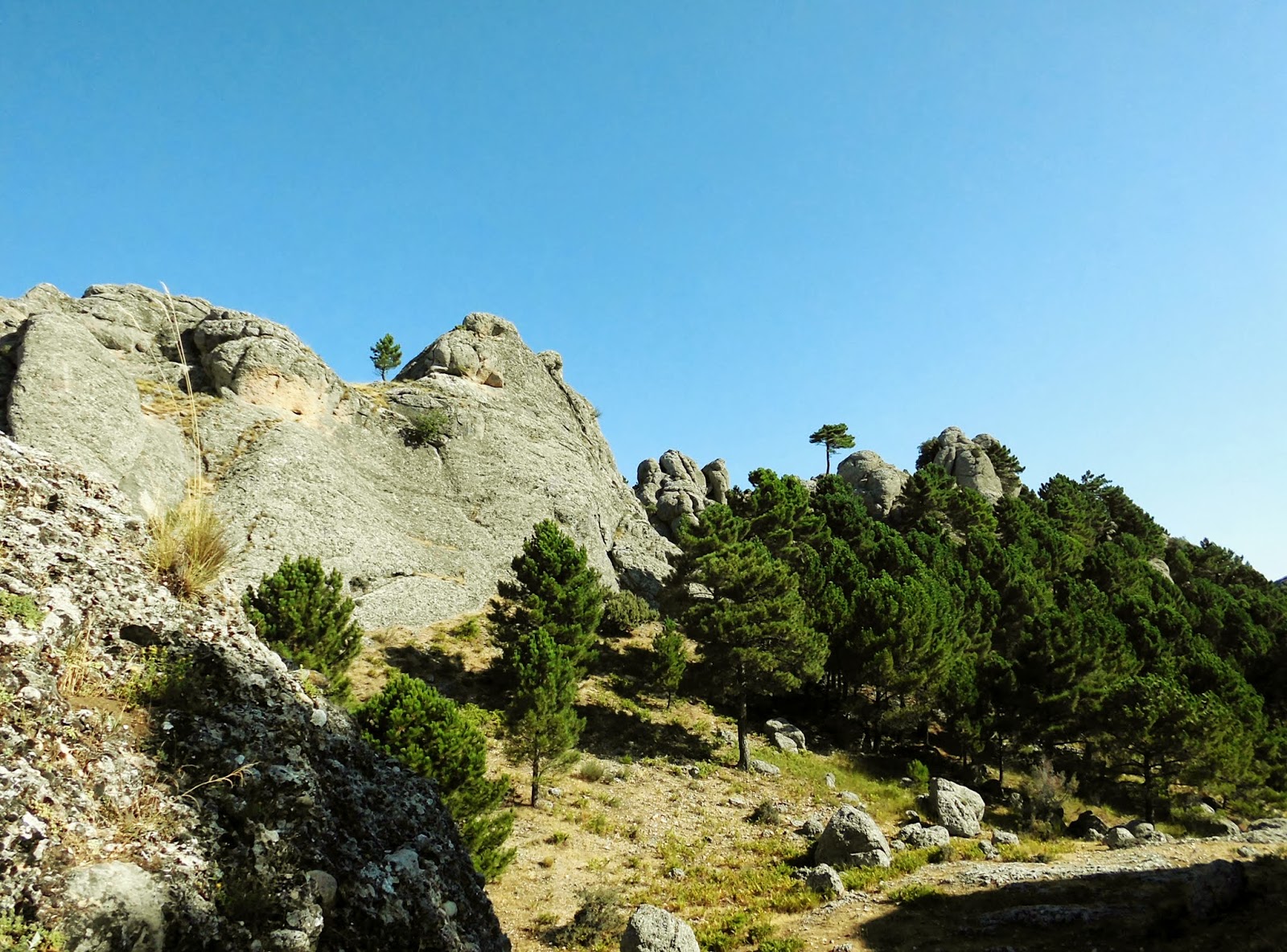 Club de Senderismo Los Escuderos de Rus (Jaen): ARROYO DEL TEJO, LOS ...