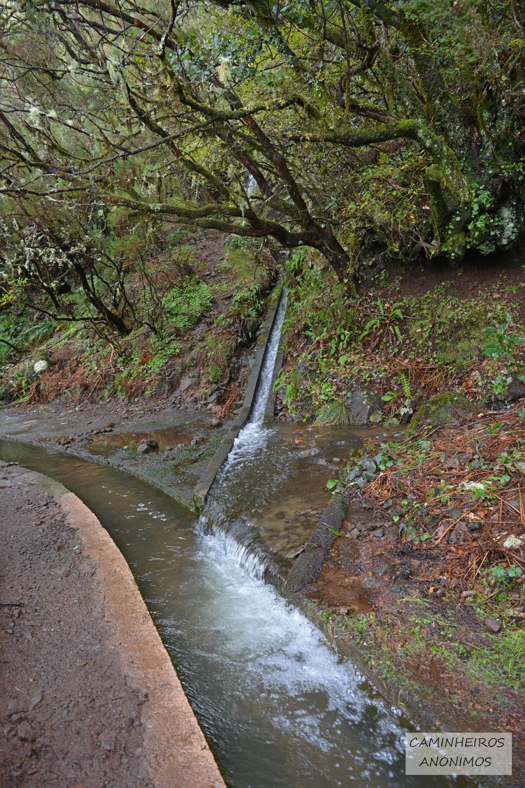 Caminheiros Anónimos Levadas da Madeira : Levada Grande do Paul (Calheta)