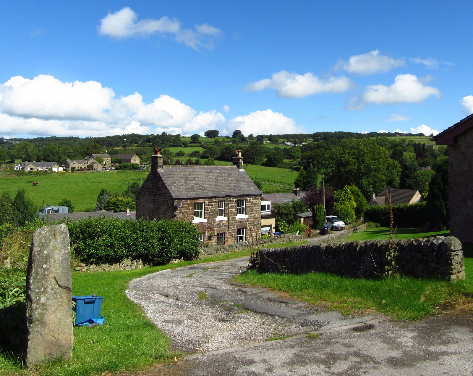 Bunny Mummy: Hilly Fields