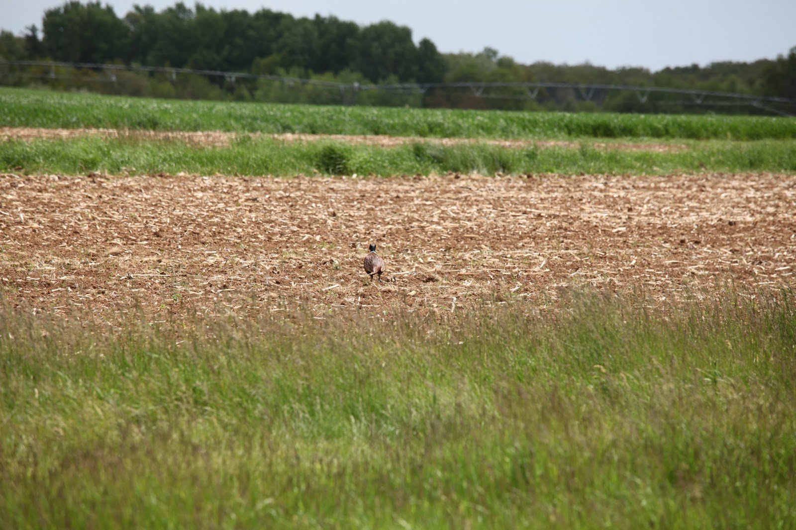 Road trip in the Beauce region | To the ends of the earth