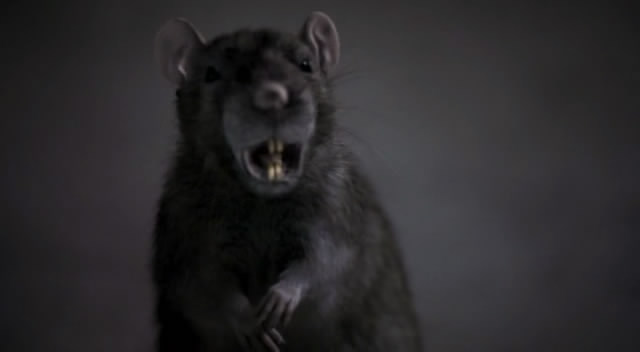 CCC: Clayton's Cinema Countdown : The Rats (2002) Review