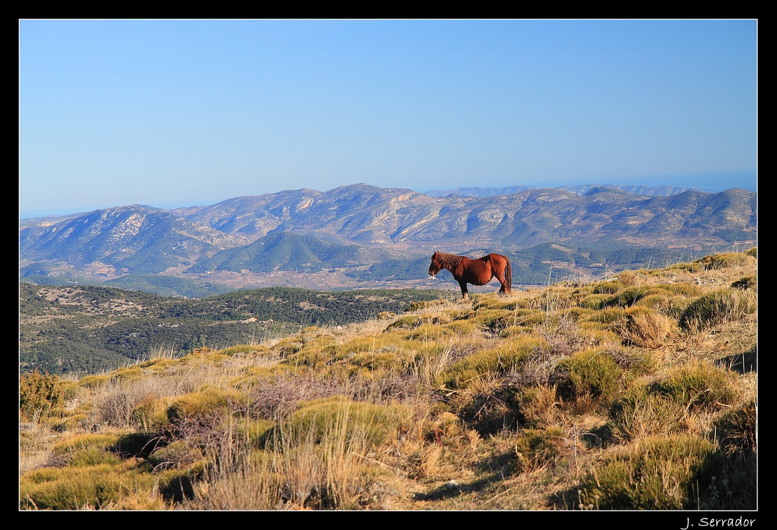 descubriendo PENYAGOLOSA: Poblado medieval del Marinet (Xodos).
