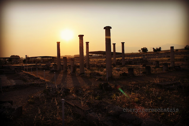 Rice, beans & pastichio...