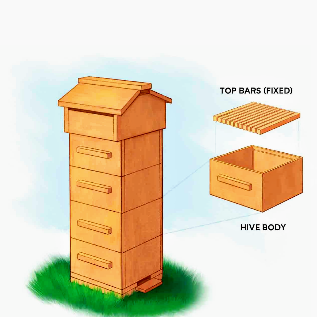 Types Of Beehives Pros & Cons | The Ultimate Guide