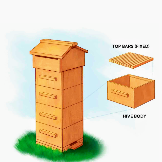 Types Of Beehives Pros & Cons | The Ultimate Guide