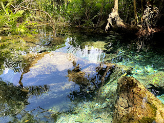 de aquí pa'llá, de allá pa'cá: Manantial de Guayaney, Manatí