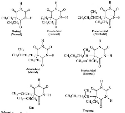 Barbiturat Merupakan Obat Turunan Urea