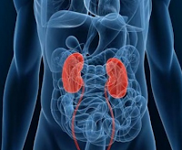 Renal-Disease-Treatment: What are the symptoms of uremia?