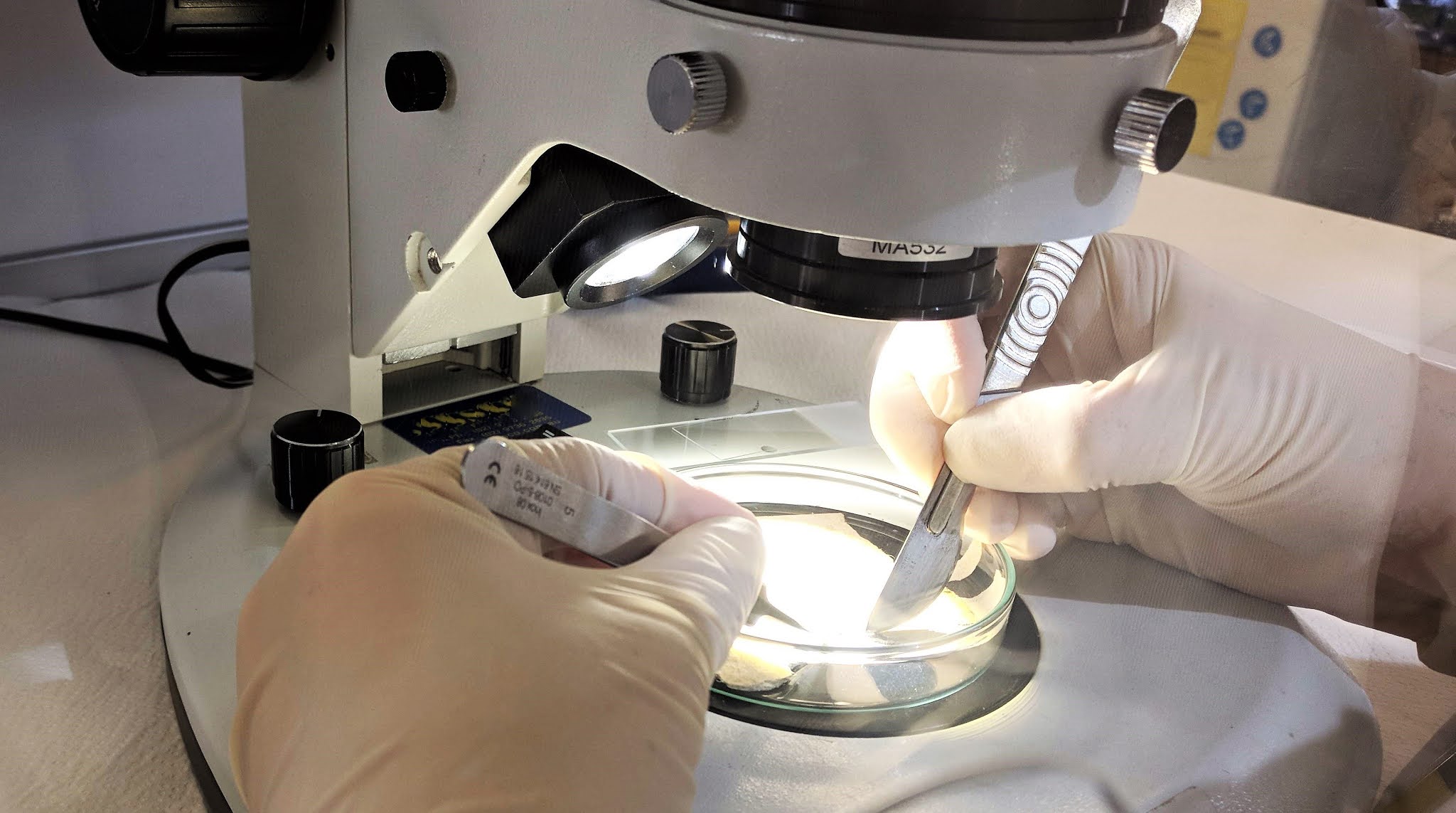 Why Asbestos Sampling is Necessary?