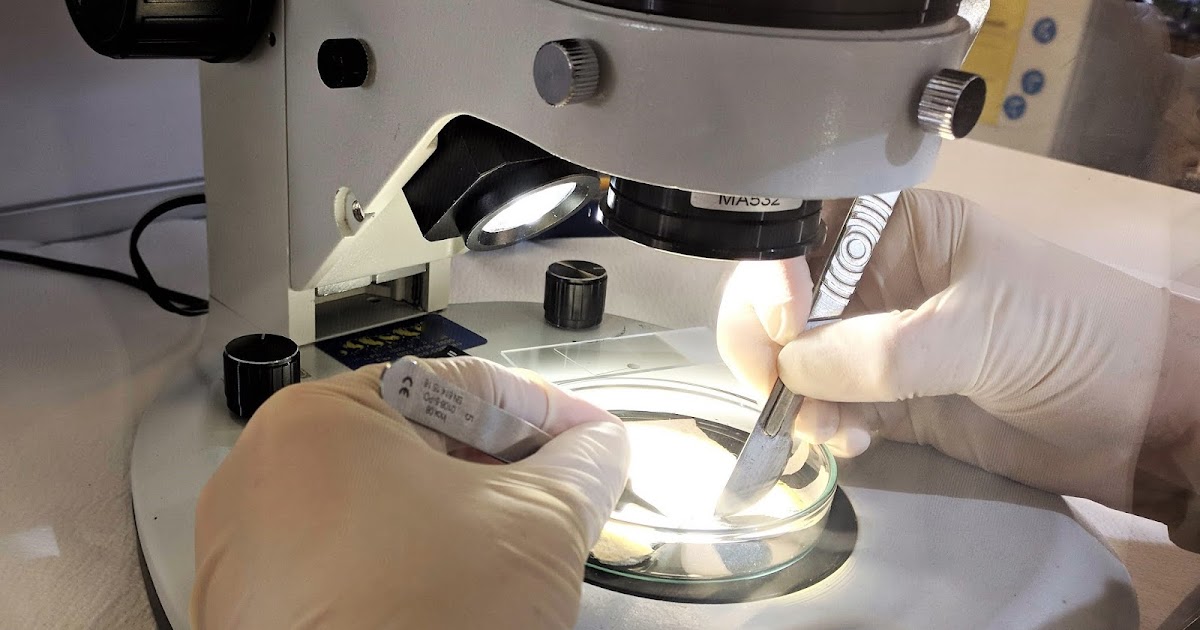 Why Asbestos Sampling is Necessary?