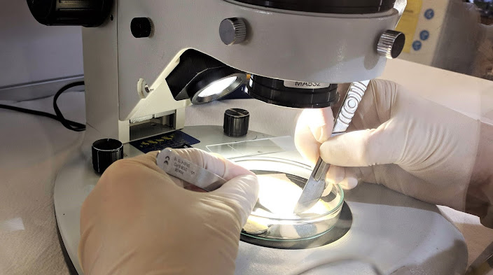 Why Asbestos Sampling is Necessary?