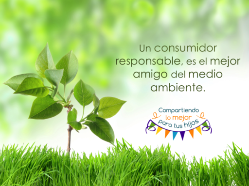 Proyecto MARES: 7 ideas para el consumo responsable
