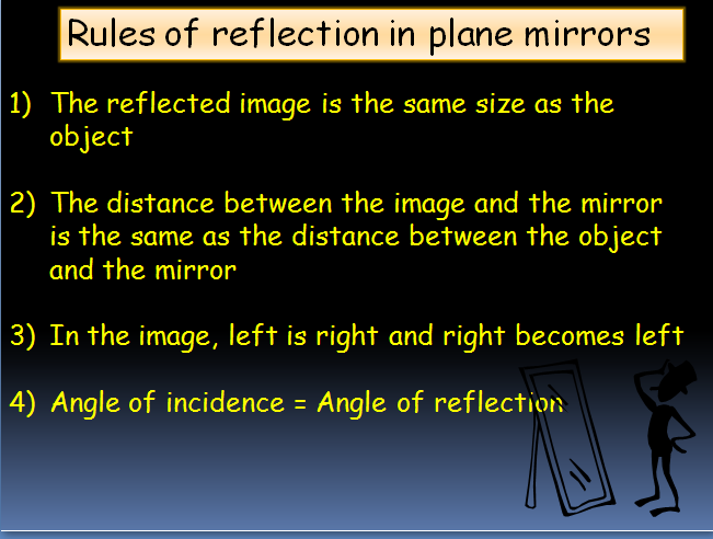 MYP Science Grade 7: Reflection
