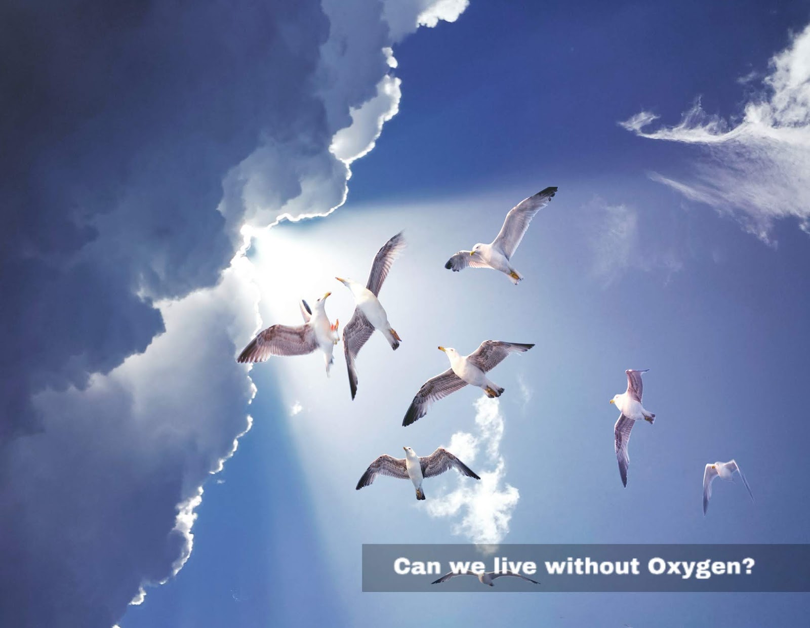 How will the world without oxygen | Can we live without Oxygen ...