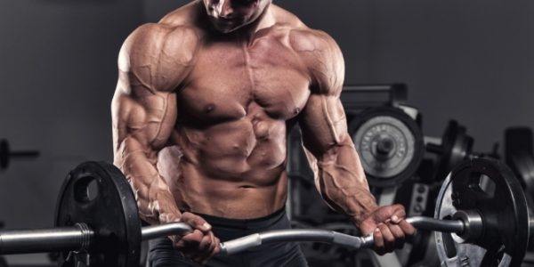 5 Tips To Build Muscle As Rapid As Feasible