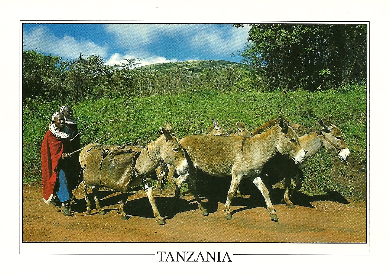 Postcards A world Travelogue: Zanzibar and Tanzania