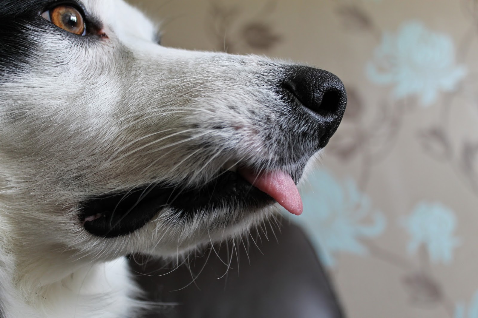 Up Close and Personal | The Mini Mes and Me