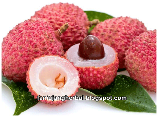 Kesehatan: 5 Khasiat Buah Leci Bagi Kesehatan