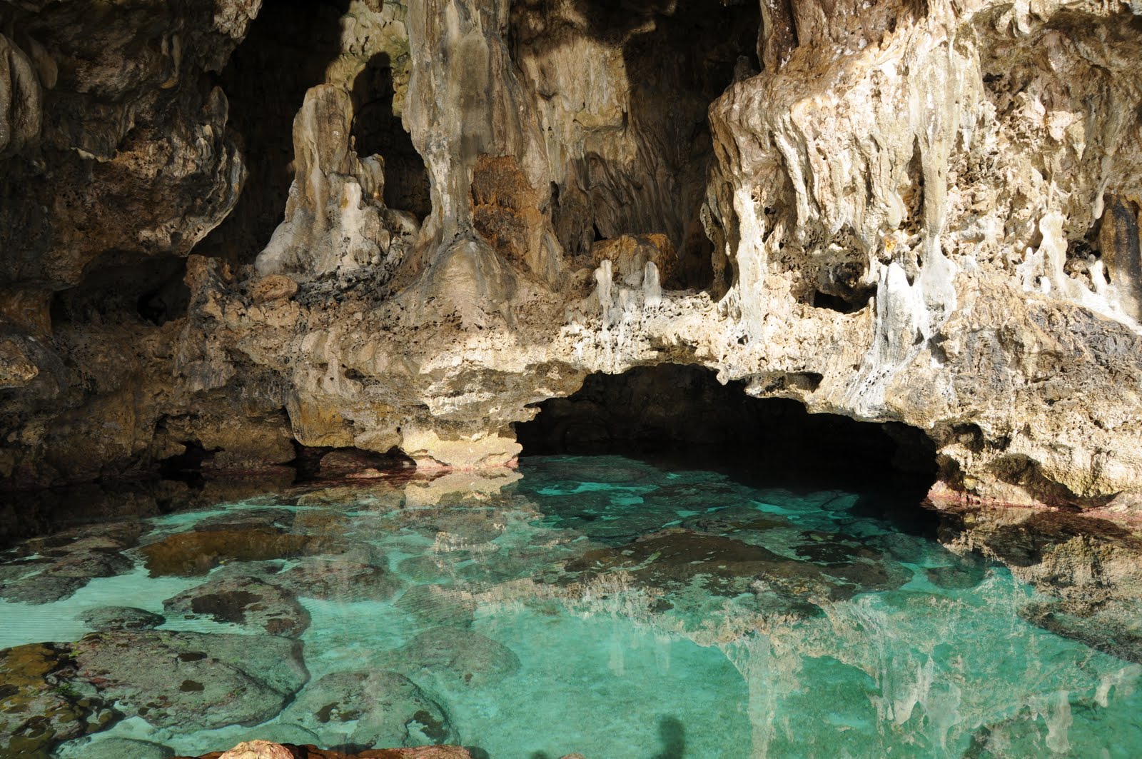 Alofi, Niue - Travel Guide and Travel Info - Exotic Travel Destination