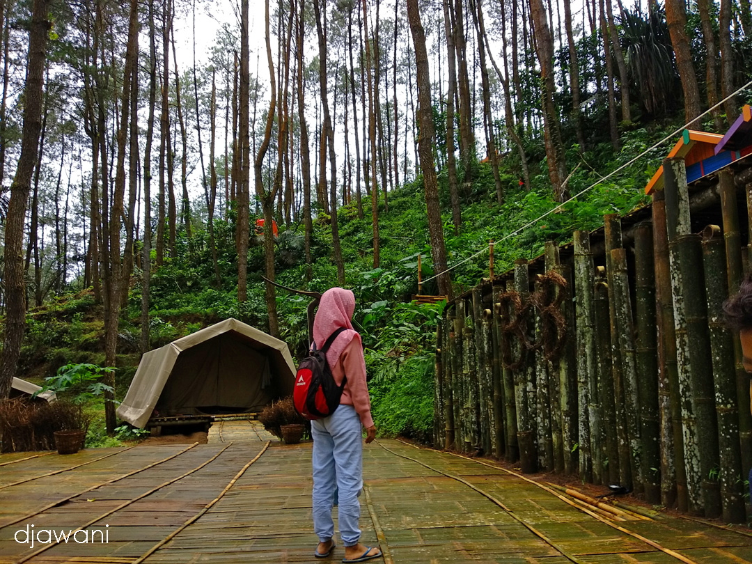 Glamping De Loano Purworejo, Tempat Camping Di Alam Perbukitan Menoreh