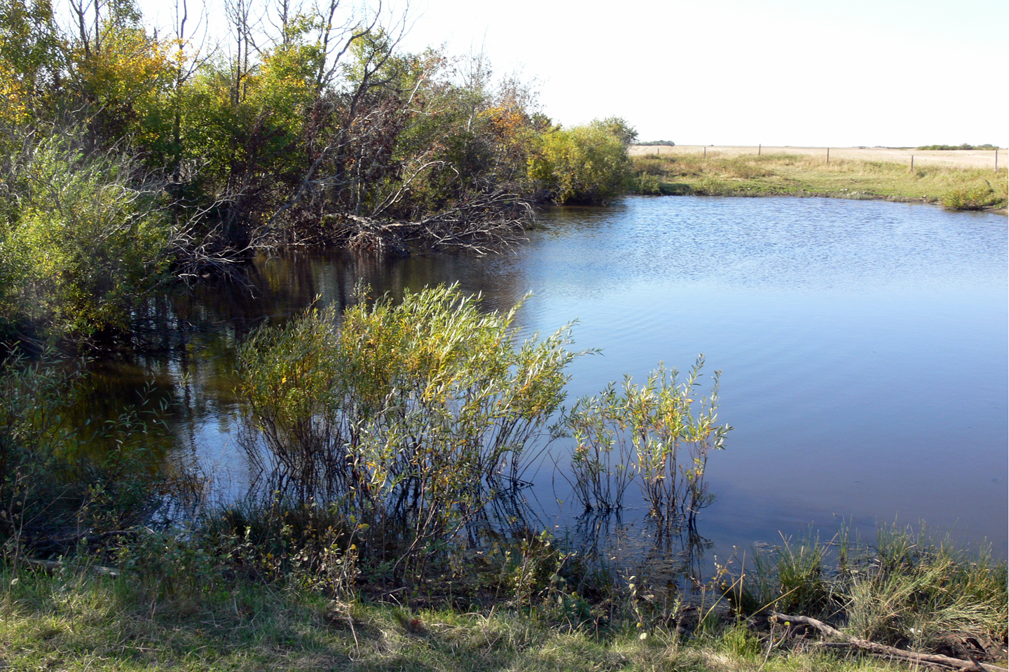 The Blog Fodder: Remembering the Farm: Water, Wells and Dugouts