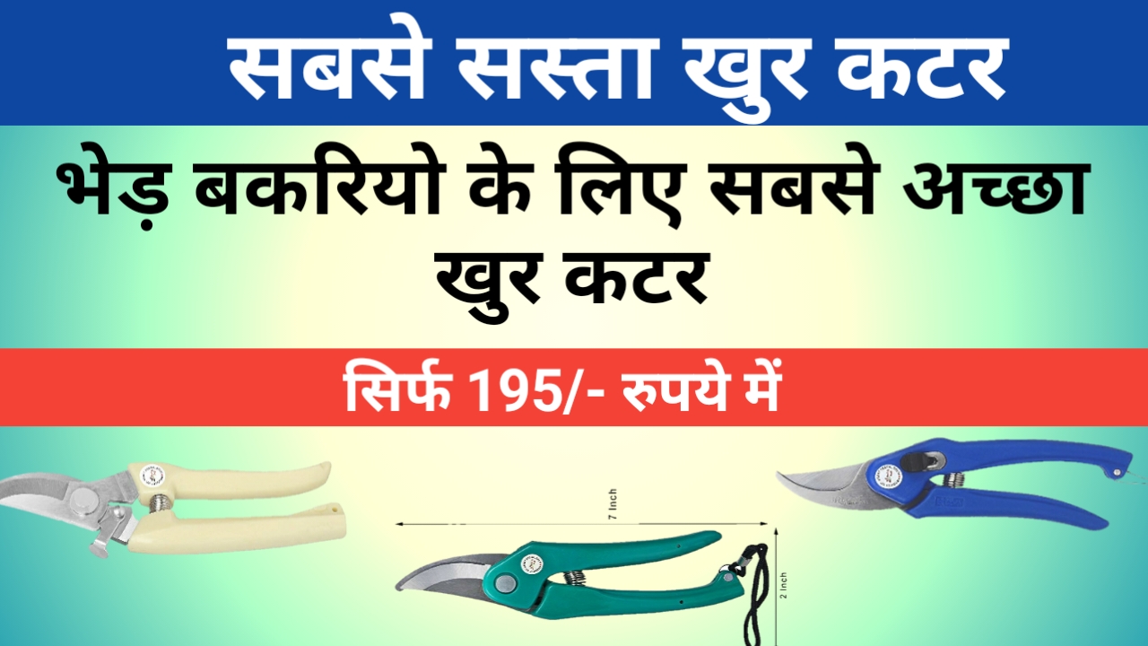 Goat Farming Tools Online - Goat Farming