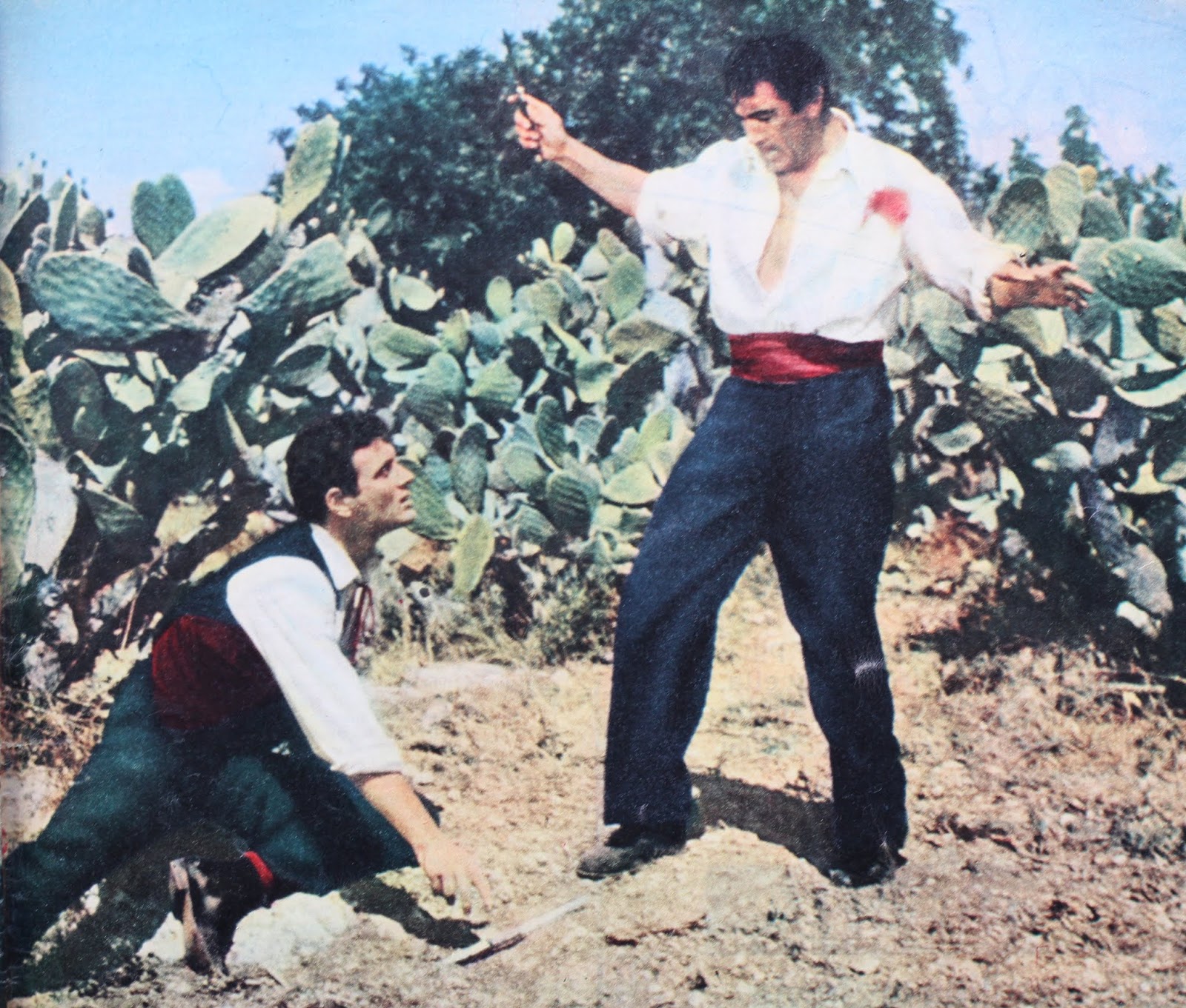 ReportageSicilia: "CAVALLERIA RUSTICANA", QUEL DUELLO SOTTO CASA CHE ...