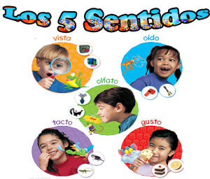THE FIVE SENSES: canción de los sentidos