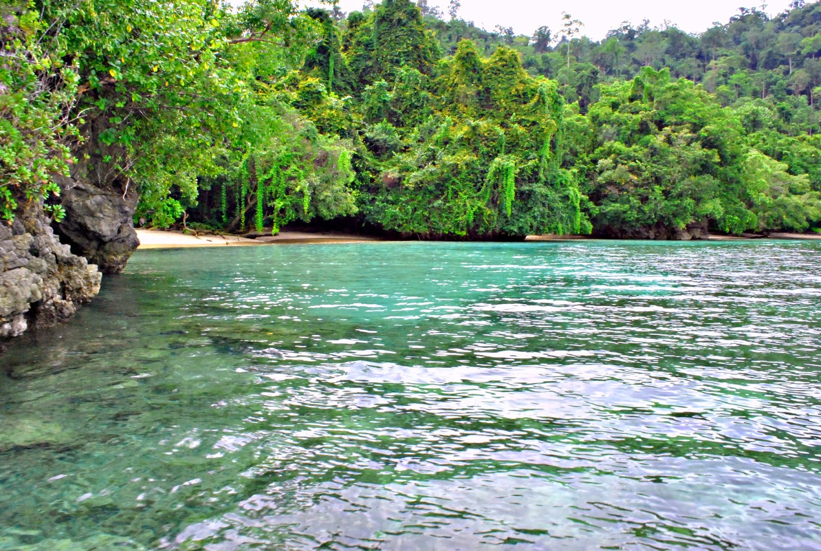 greensasa: Potensi Wisata Wasior, Teluk Wondama-Papua Barat Yang Belum ...