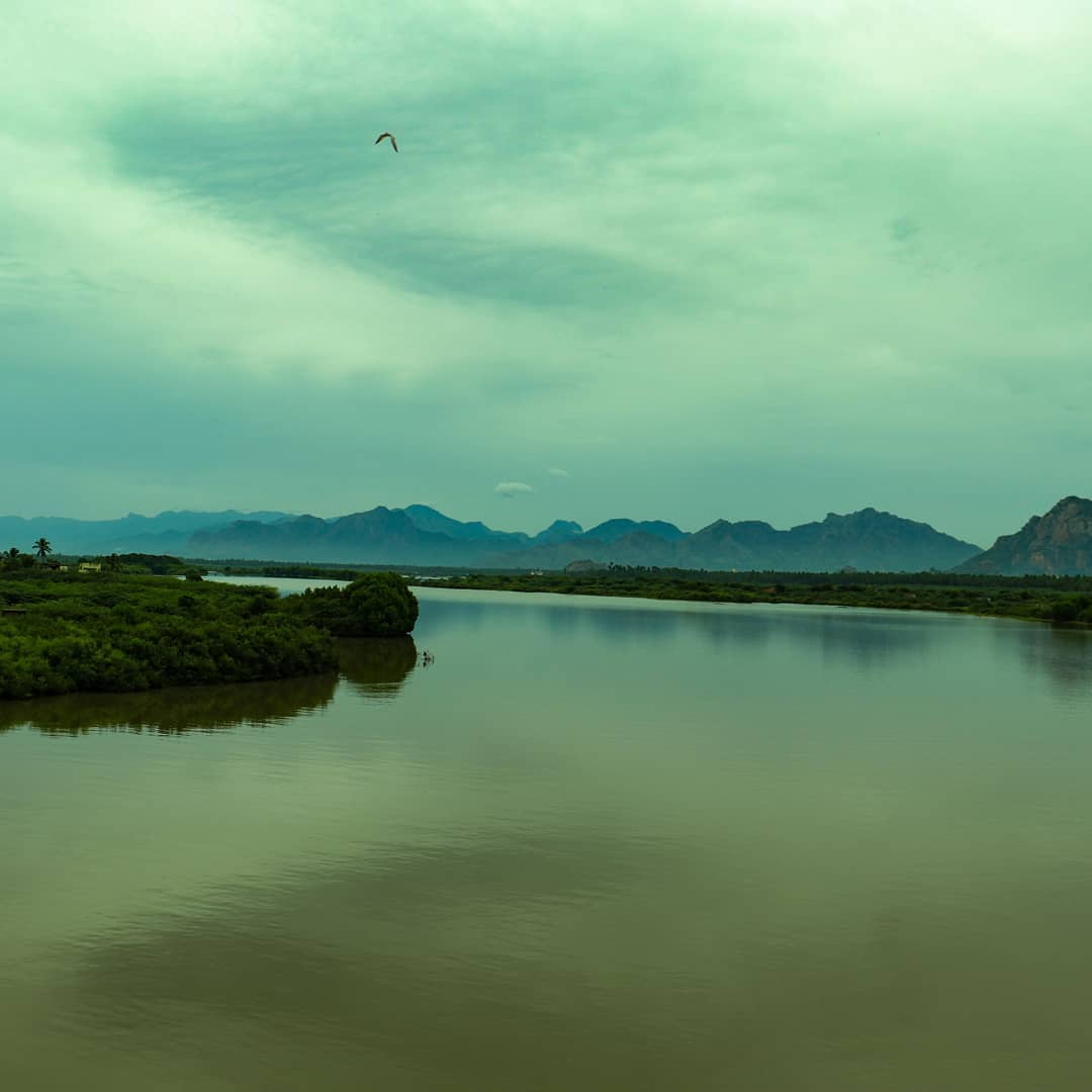 KANYAKUMARI TOURISM: Manakudy backwater & Mangrove forest - Kanyakumari