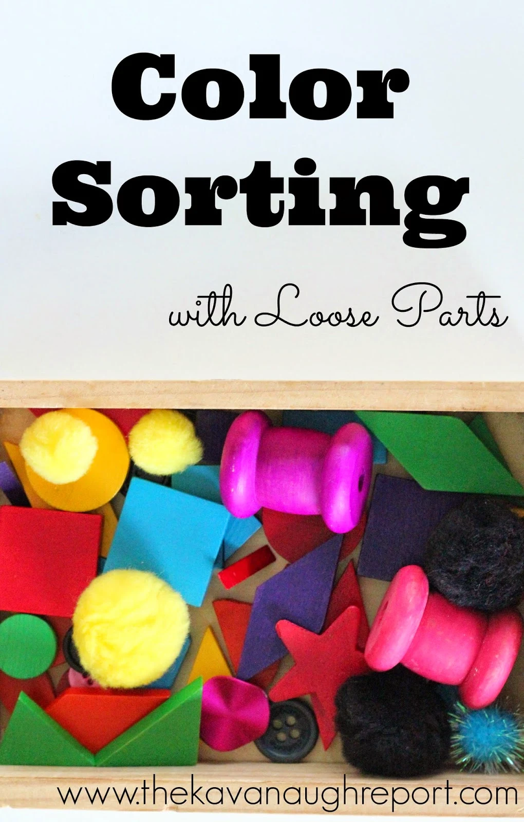 DIY Color Sorting with Loose Parts