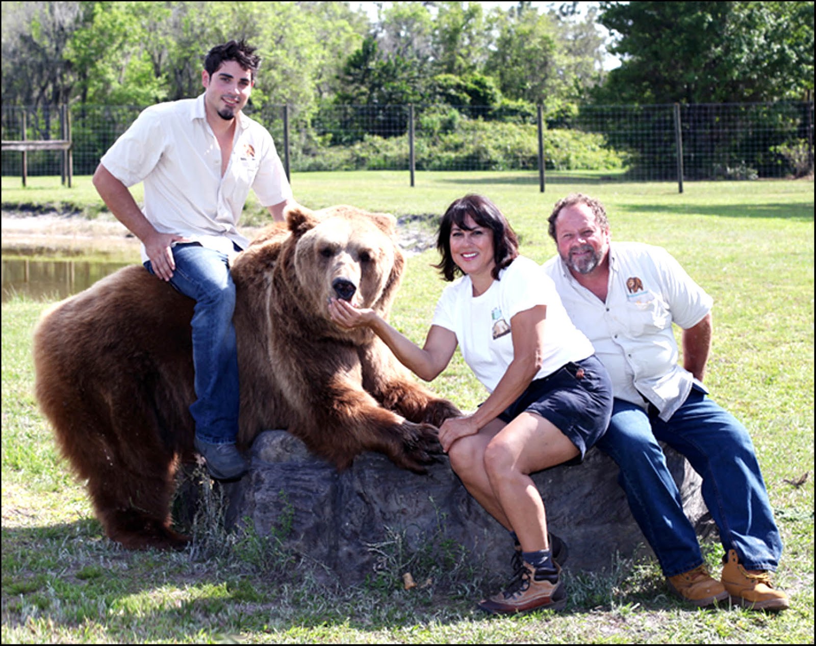 Buckles Blog: BEARS #12