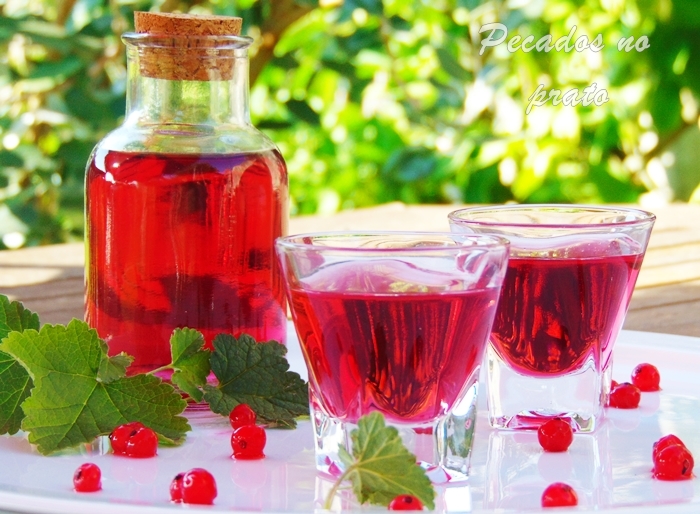 Licor de groselha - Receitas de pecados no prato